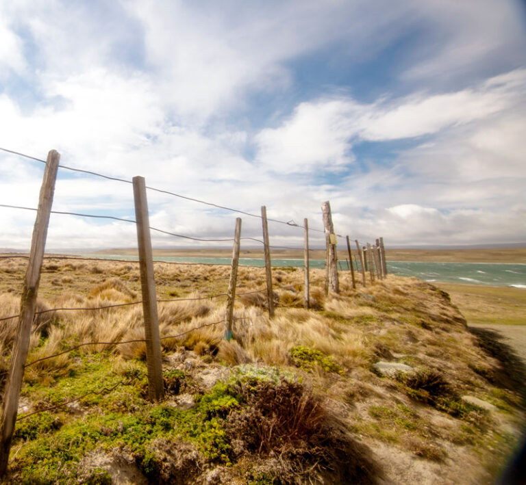 TEG - Green Hydrogen Energy | Transitional Energy Group